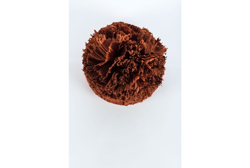 Entremets Président I CHOCOLATIER BERNACHON