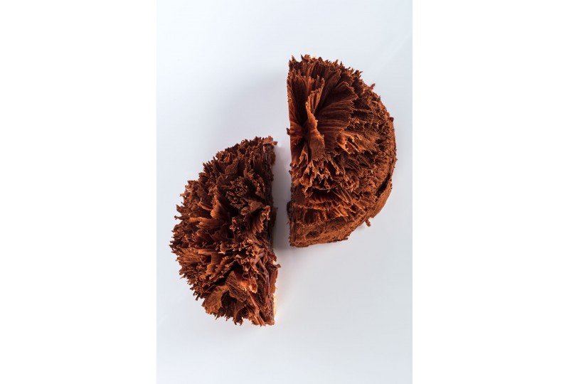 Entremets Président I CHOCOLATIER BERNACHON